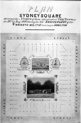 Plan of oak trees planted in Sydney Square [ Steele Park ] in Hamilton ...