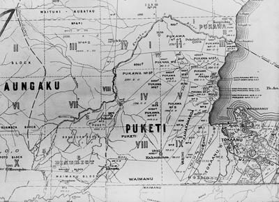 Map including Puketapu, Hohotaka Blocks etc. - Hamilton Libraries ...