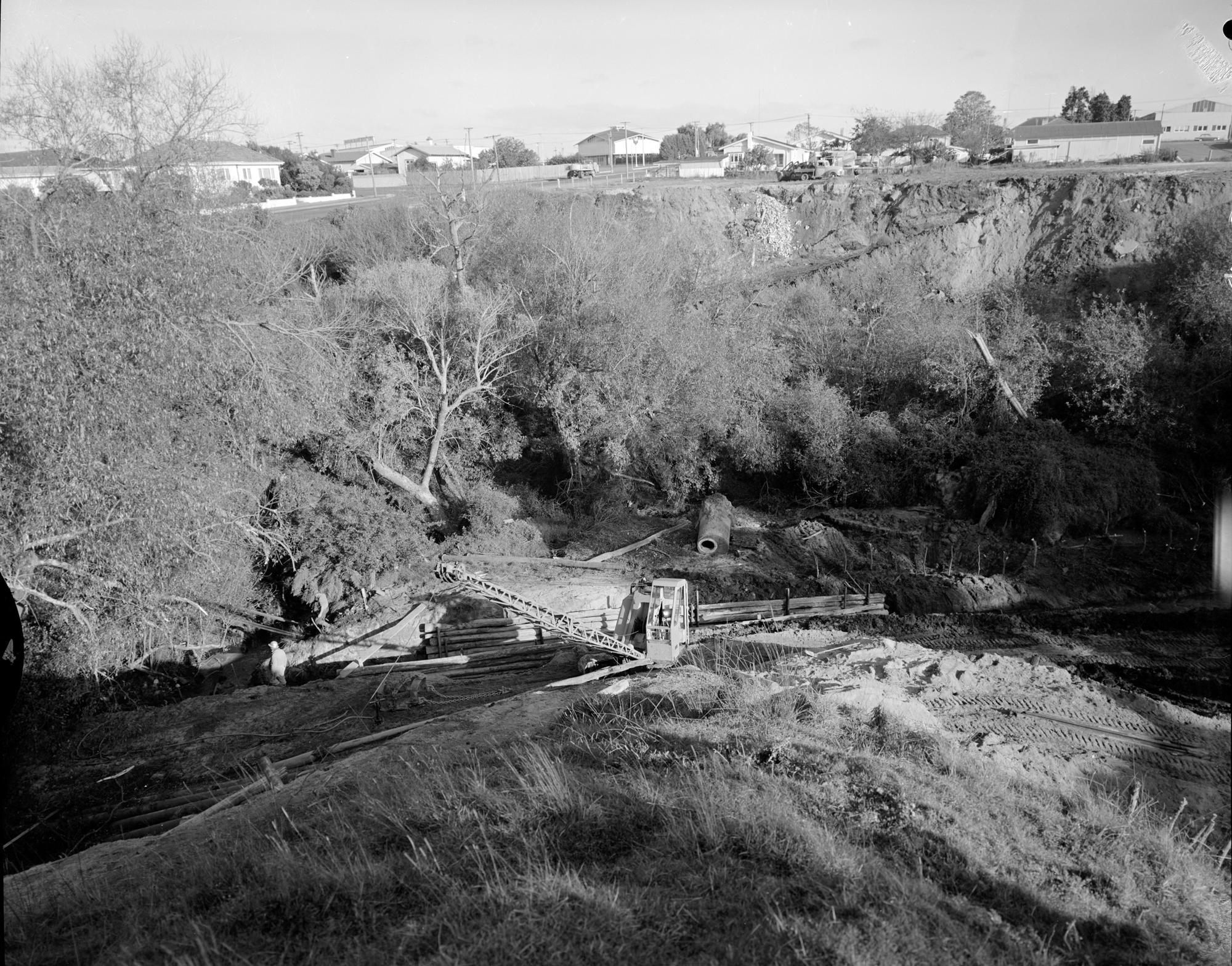 Gully development - Hamilton Libraries Heritage Collection Online