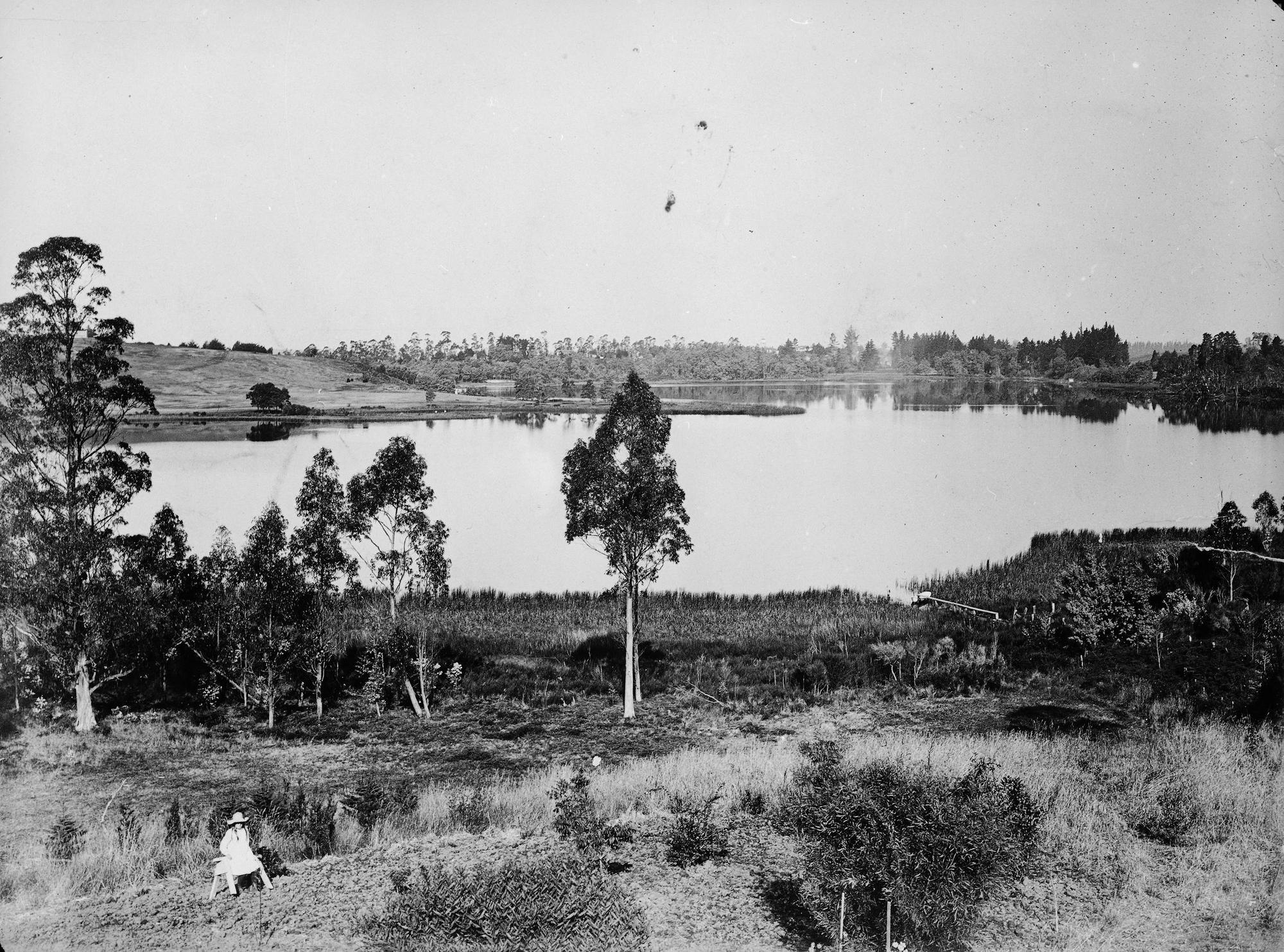 Hamilton Lake - Hamilton Libraries Heritage Collection Online