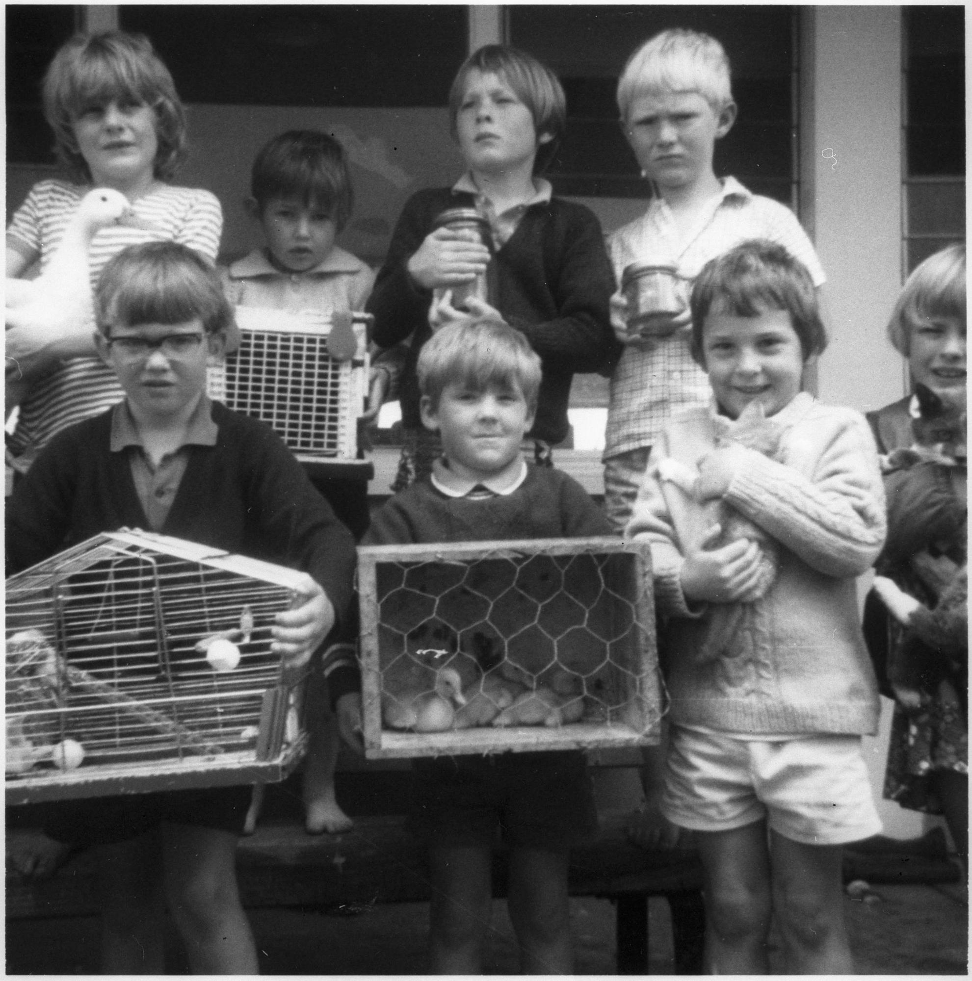Orini School Pet Day 1974 - Hamilton Libraries Heritage Collection Online